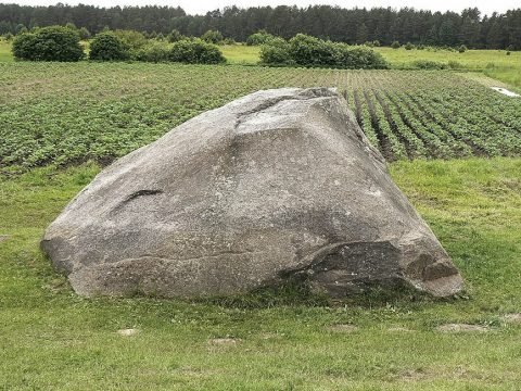 Didysis Dzūkijos akmuo - VietosDvasia.lt