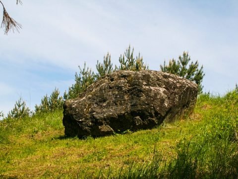 Didysis Dzūkijos akmuo - VietosDvasia.lt