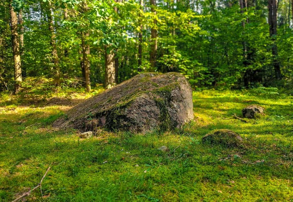 Šaltinių akmuo - VietosDvasia.lt