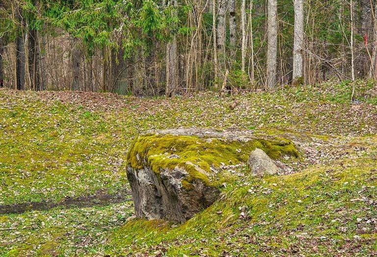 Lygumų akmuo - VietosDvasia.lt