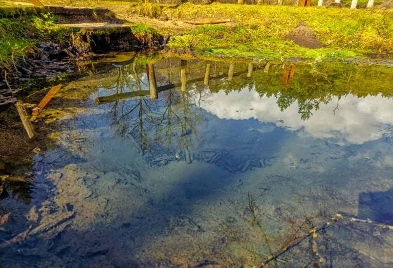 Ūlos akis - VietosDvasia.lt