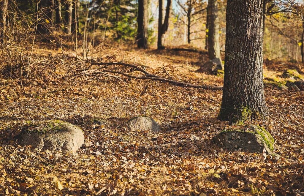 Nikronių senkapis - VietosDvasia.lt